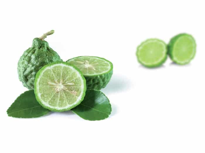 Bergamote - La Fruitière du Val Evel