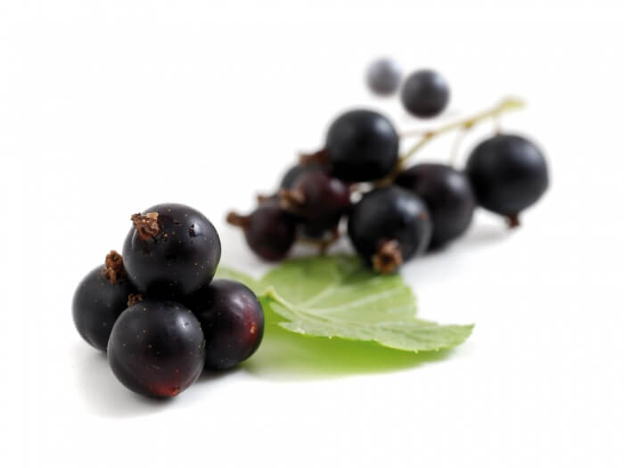 PURÉE DE CASSIS 100% - La Fruitière du Val Evel