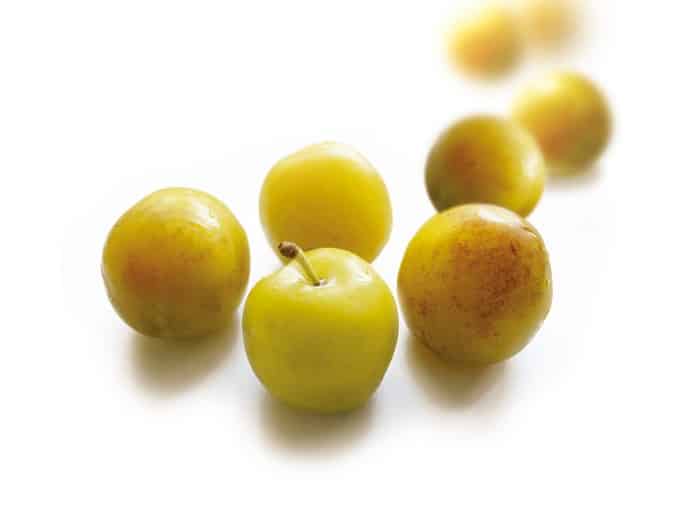 Mirabelle - La Fruitière du Val Evel
