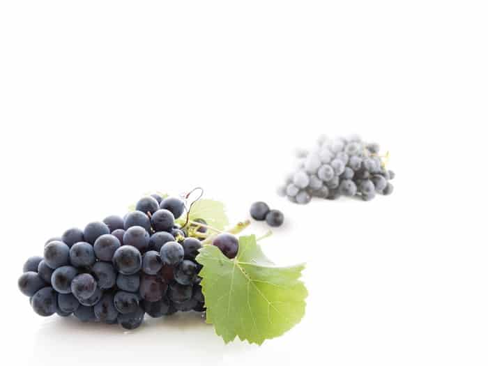 Muscat grape - La Fruitière du Val Evel