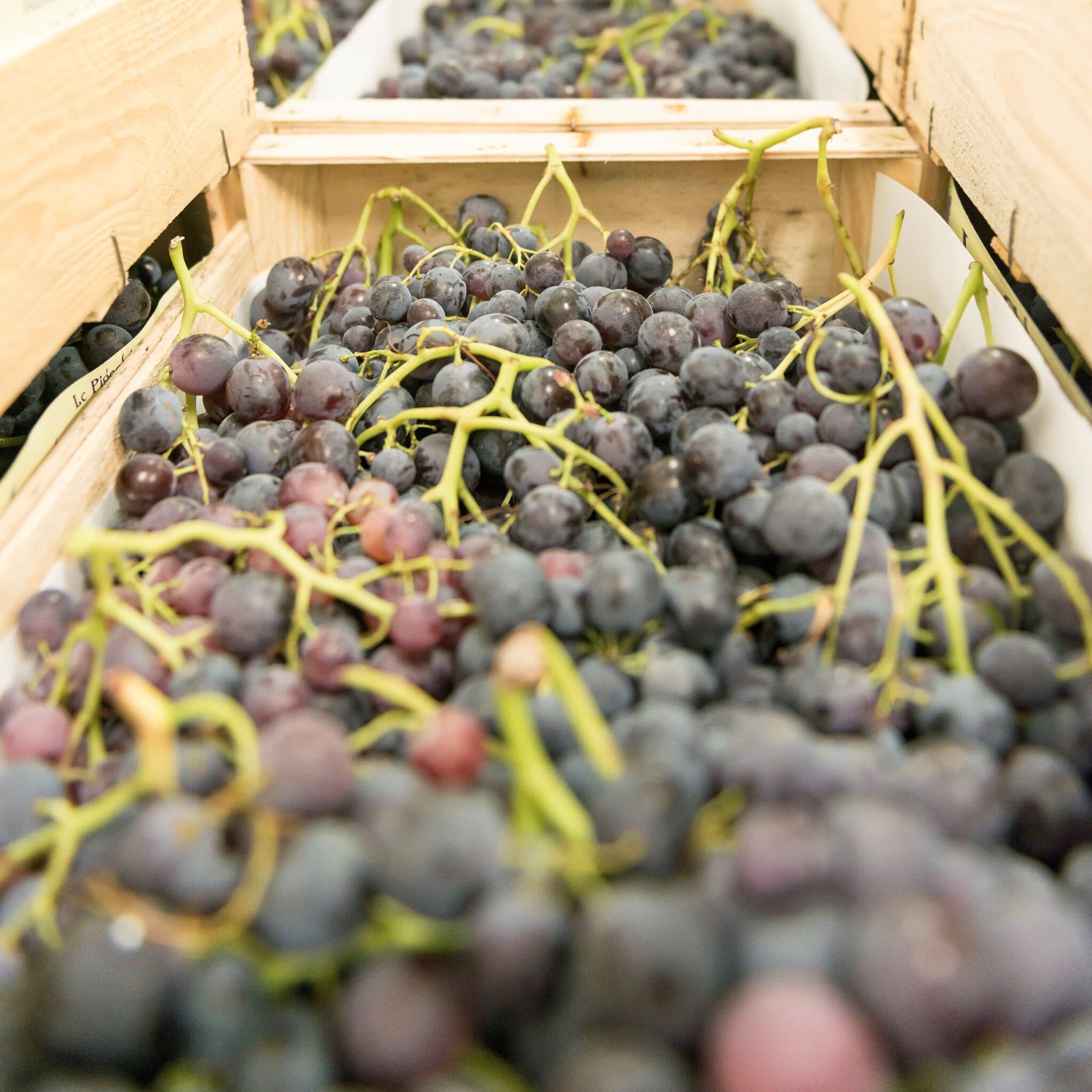 Nos vergers, notre métier - La Fruitière du Val Evel